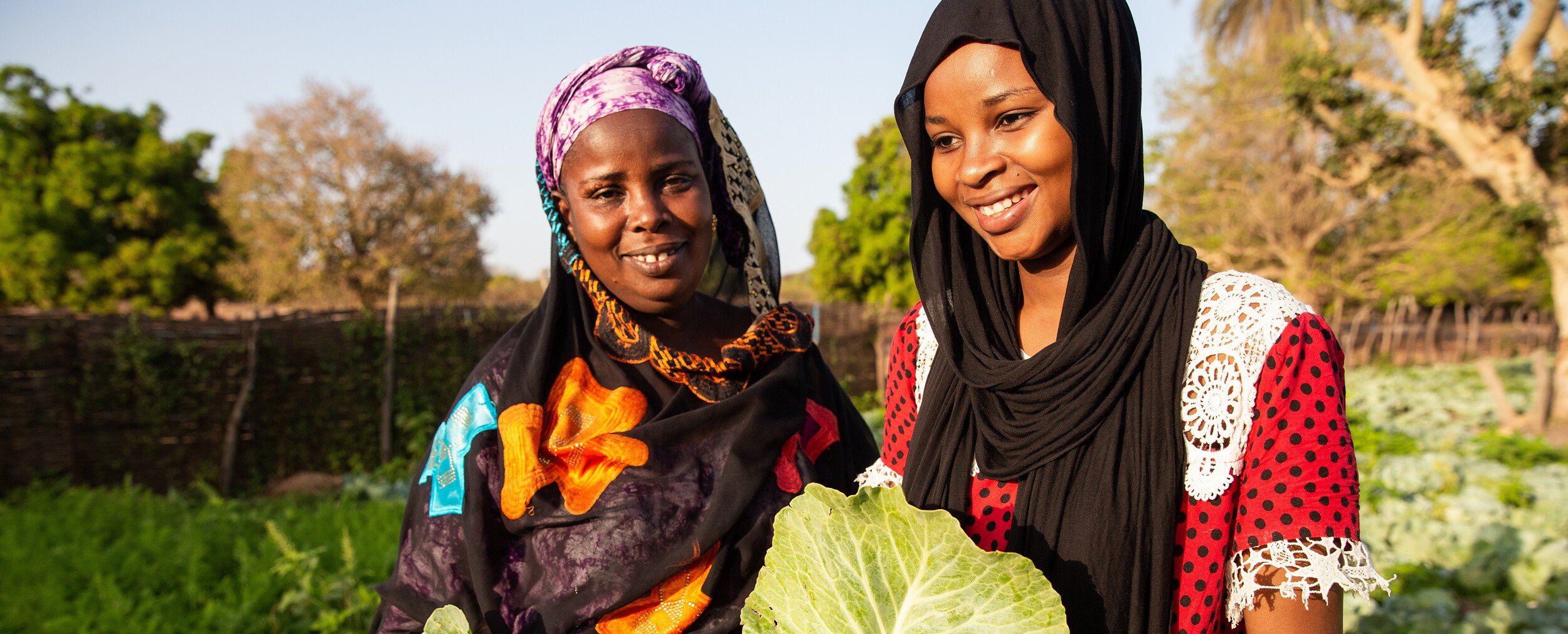 Sénégal et Sahel - Nutrition International