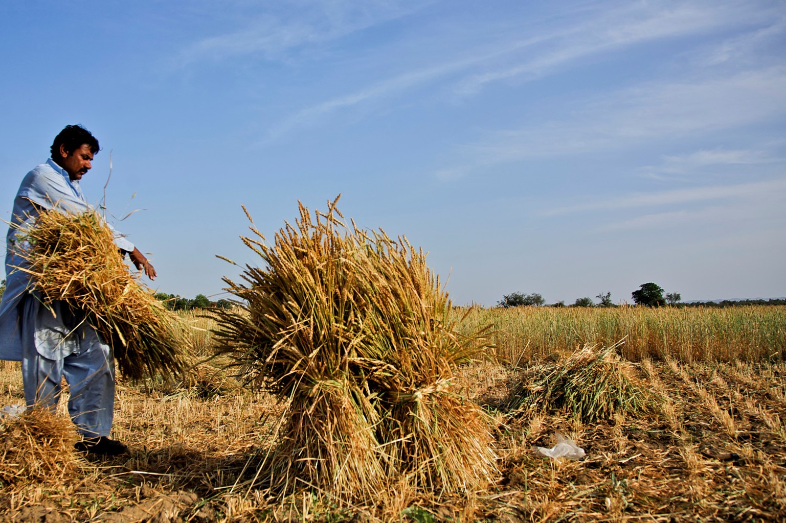 Nutrition International applauds the Government of Sindh, Pakistan for ...