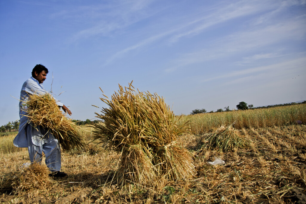 New global initiative will harness food fortification to fight ...