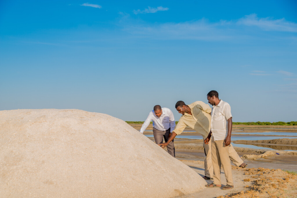 Watch: Improving salt iodization in Tanzania - Nutrition International