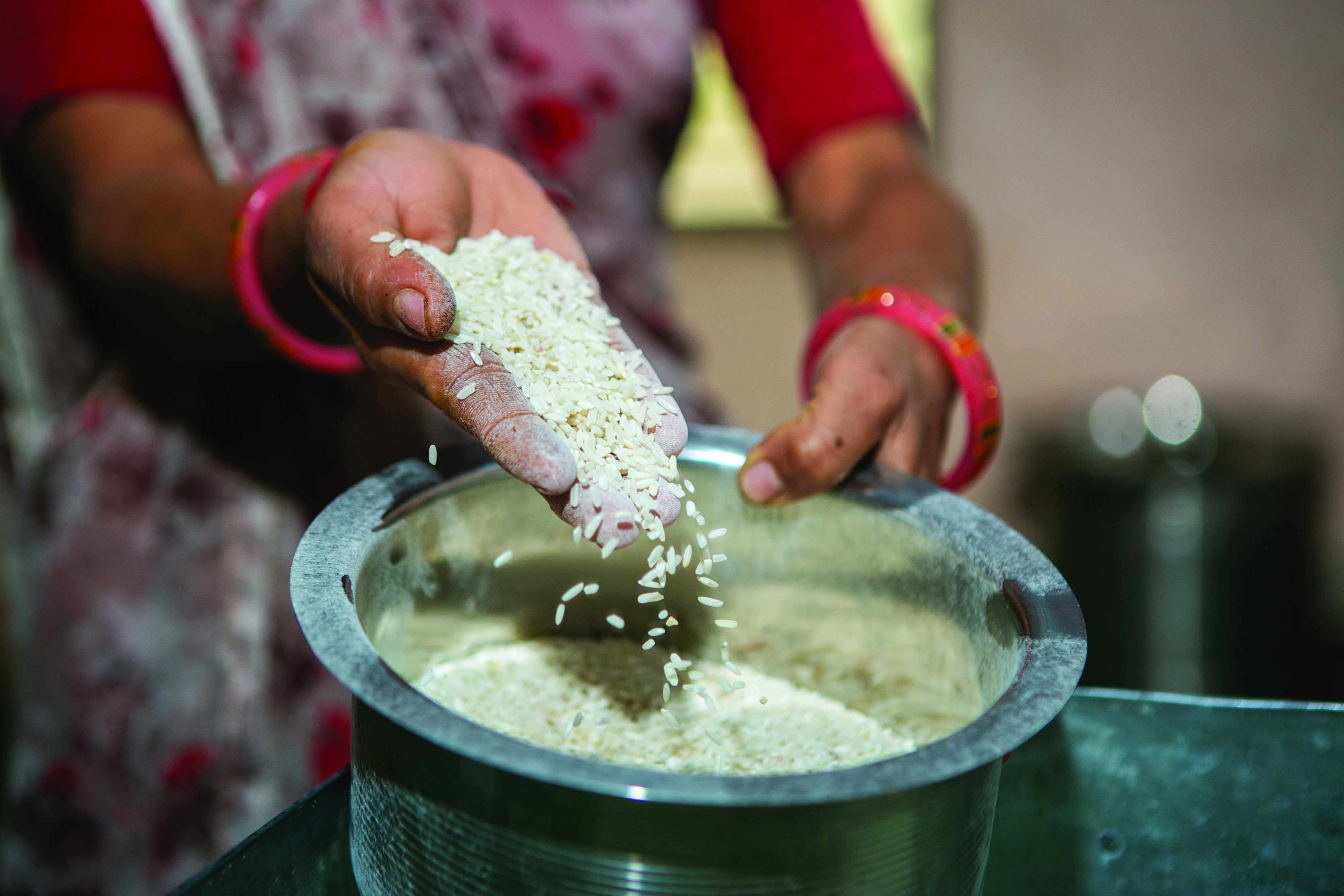 2023 Food Fortification - Nutrition International